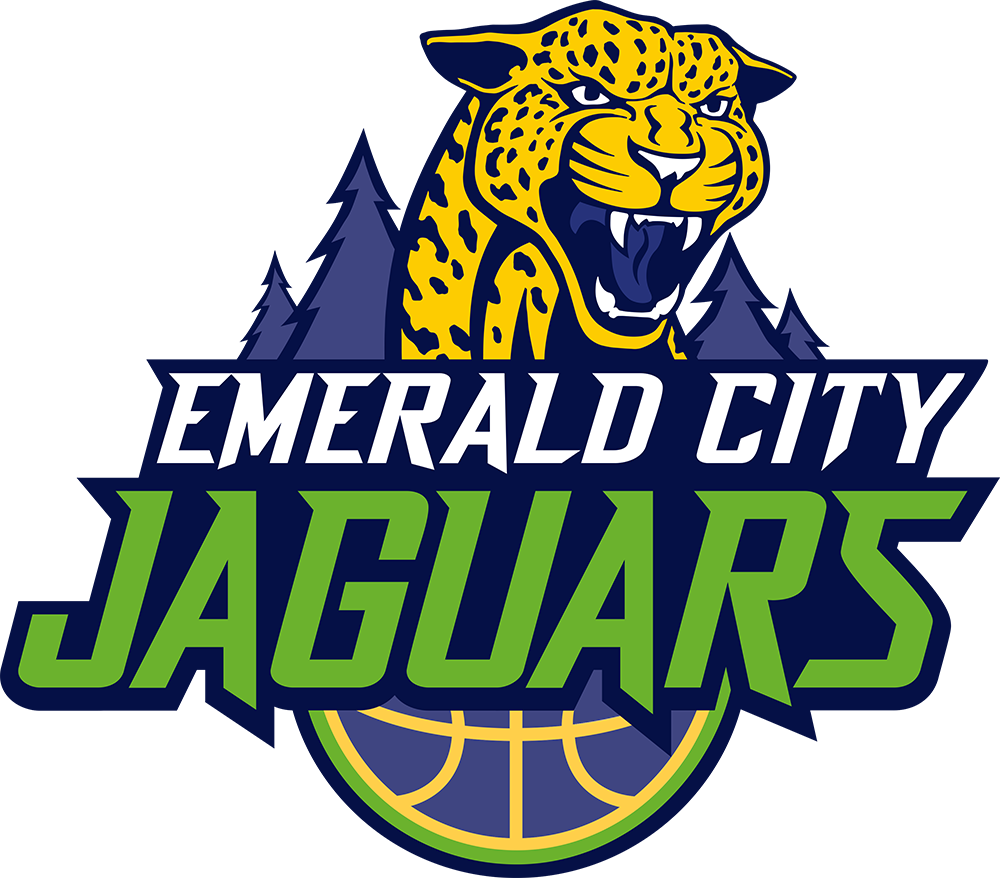 The Basketball League